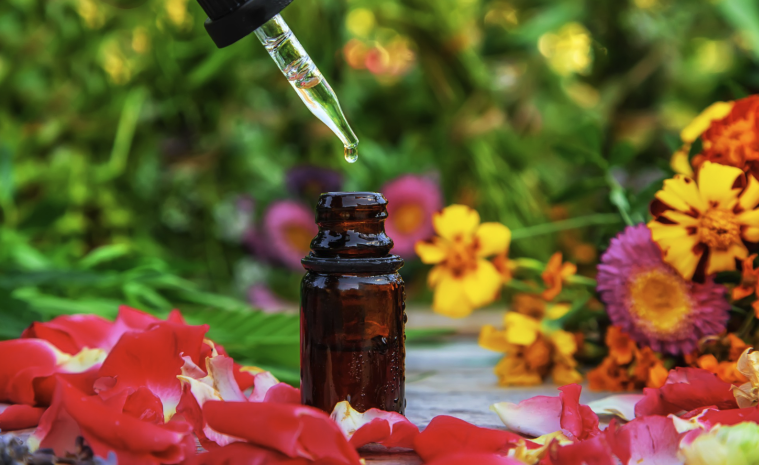 Holistic Wellness & Energy Healing | Bloom & Balance Wellness